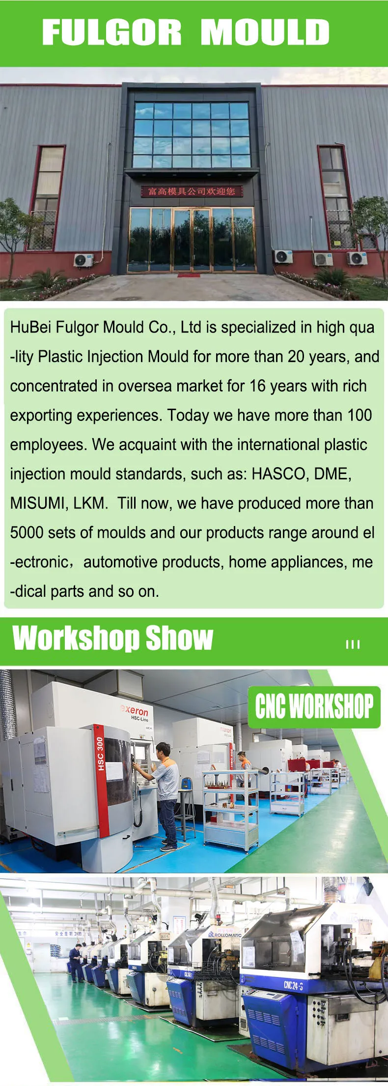 Fulgor Plastic Injection Molding Tooling Service Injection Mold Cavity ...