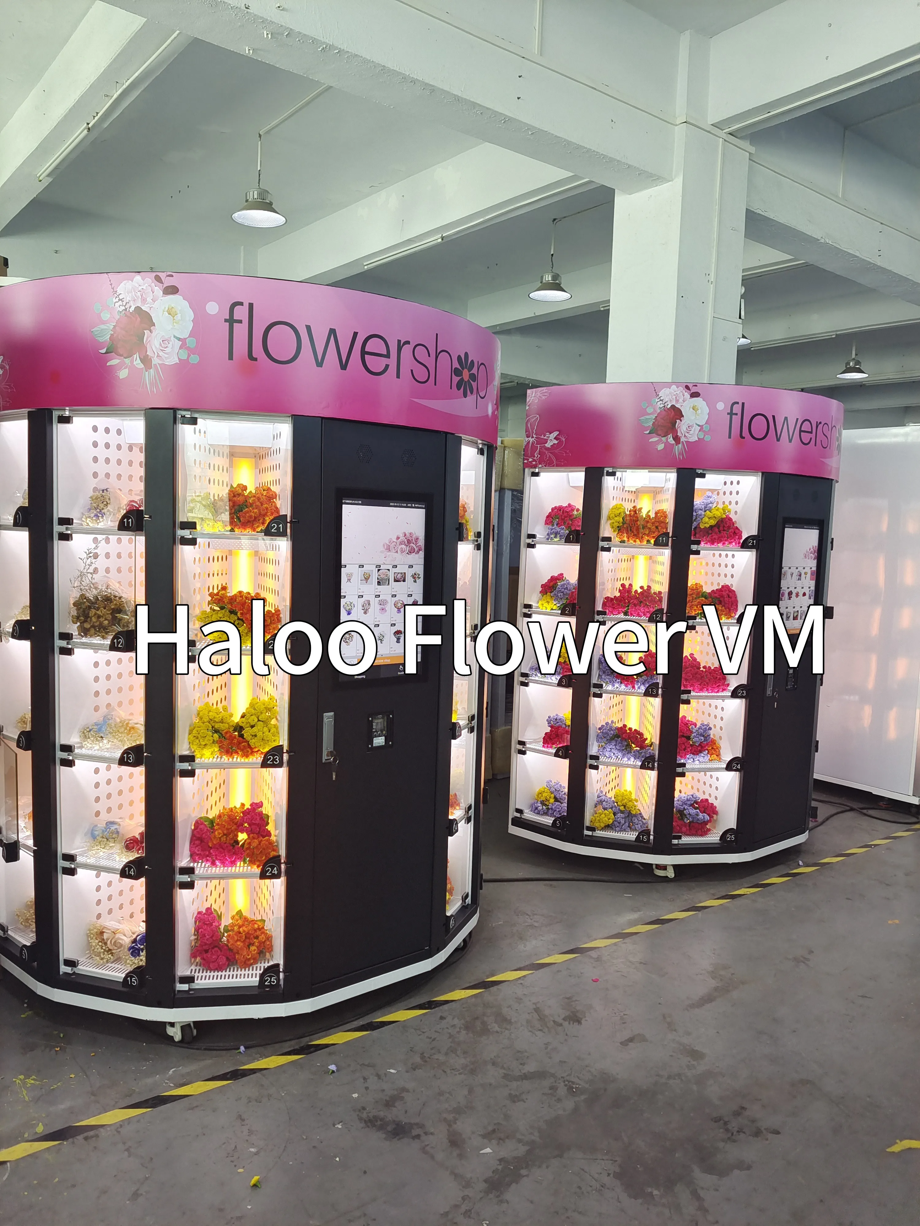Haloo Vending Machine Supplier - Black 12 Locker Flower Vending Machine