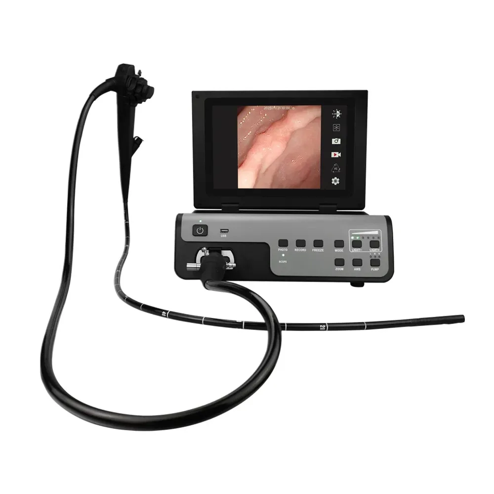 Hot Sale Reusable Gastrointestinal Endoscopy Veterinary Monitor ...