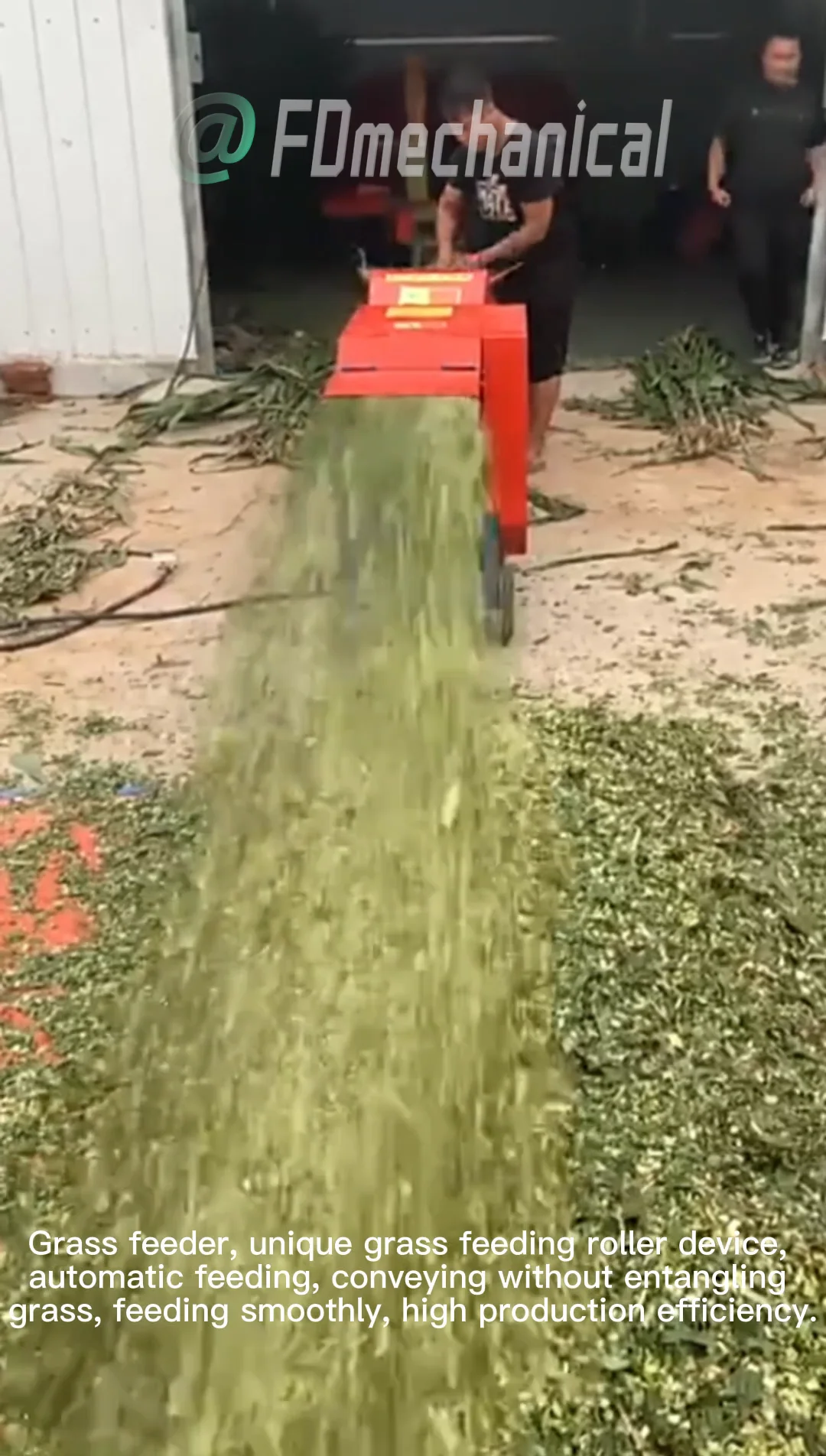 Farm Cow Sheep Animal Feed Food Grass Rice Corn Wheat Straw Hay Forage ...