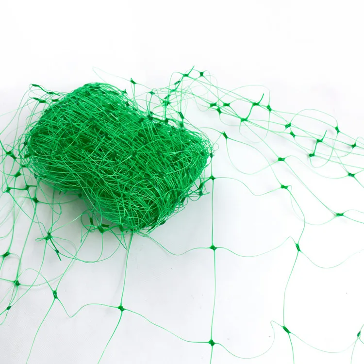 Agriculture Plant Climbing Net Trellis Netting For Climbing Garden Pp ...