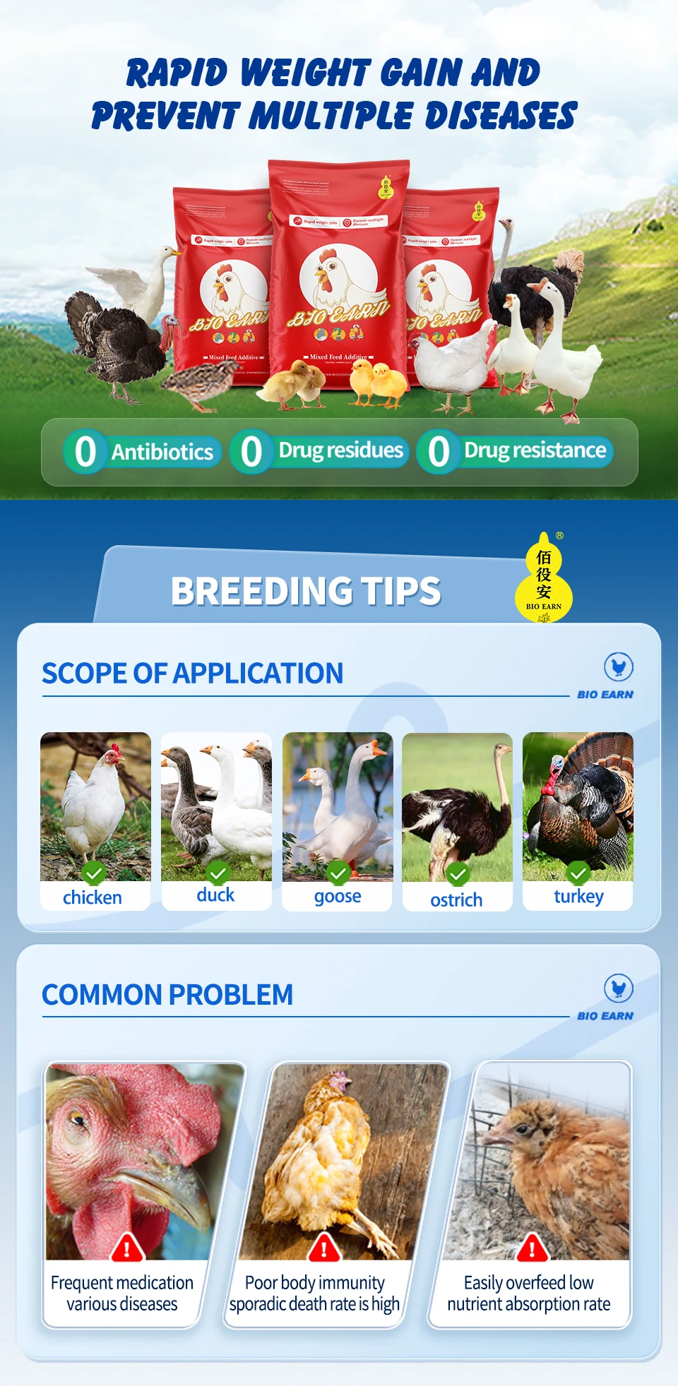 Bio Earn Chicken Feed Additives Egg Bird Quality Improver Prolong Peak ...