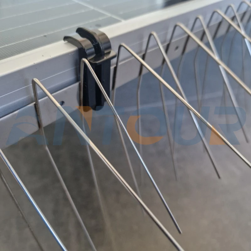 Eaves Swallow Spikes Stainless Steel Base and Throns Anti Bird Pigeon ...