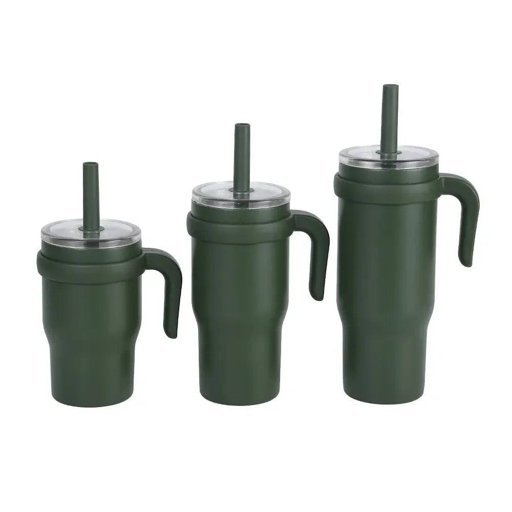 Insulated Stainless Steel Water Bottle with Straw