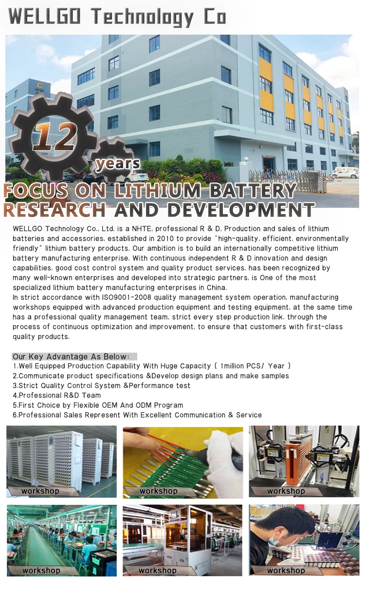 WELLGO Custom Copper Busbar Terminal 48v Battery Pack 18650 Electric ...