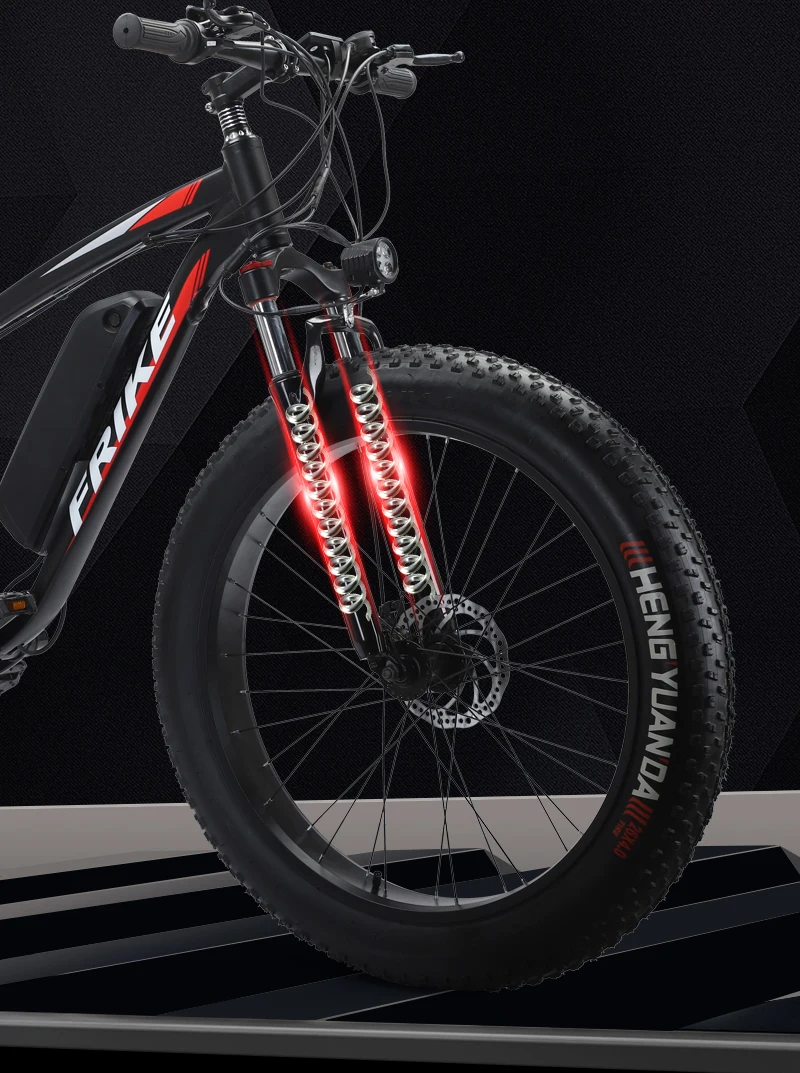 FRIKE Ebike 1000W 48V - Ultimate Electric Bike Experience