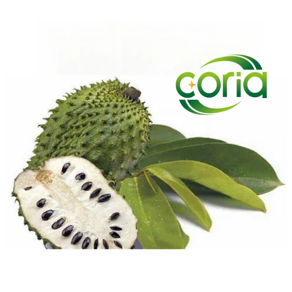 graviola soursop extract graviola extract capsules| Alibaba.com