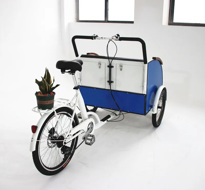 Passenger Tricycle Trike Solar Electric Pedicab Cycle Rickshaw For Sale ...