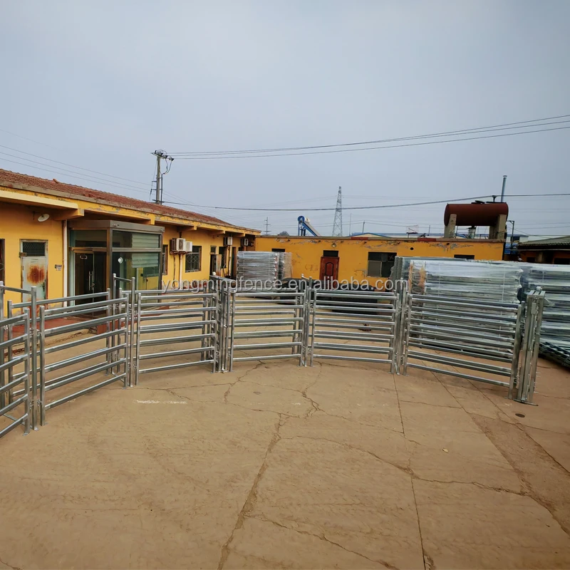 Galvanized Curved Race Livestock Panels for Cattle Pen Yards| Alibaba.com