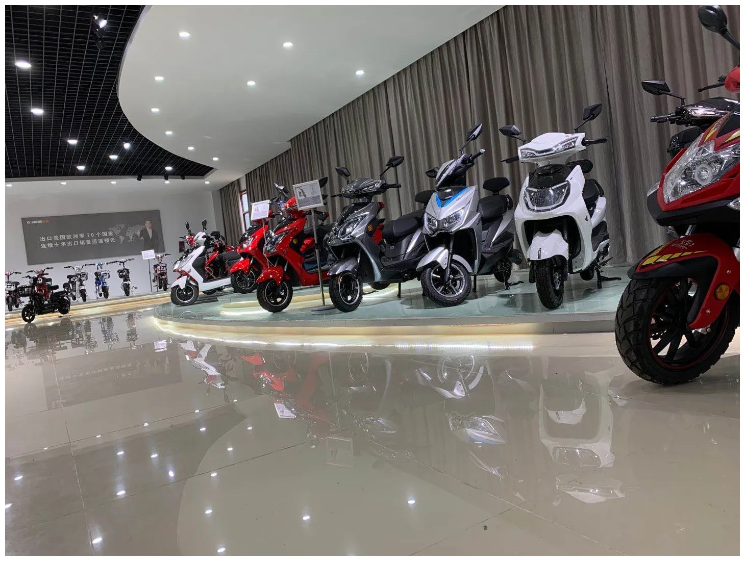 1000W Electric Cargo Tricycle for Adults - Gowei 3-Wheel Motorcycle for ...