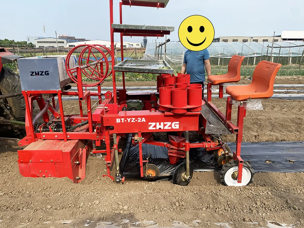 ZWZG Pineapple Transplanter - High Productivity & Customization