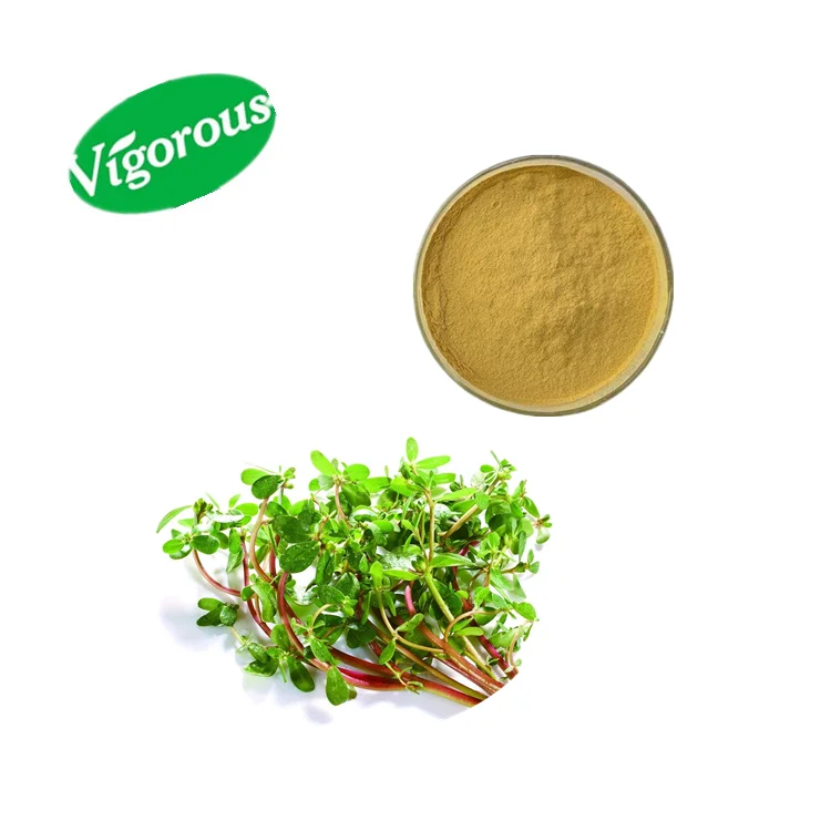100% Natural 10:1 Portusana Purslane Extract - Buy Portusana Purslane ...