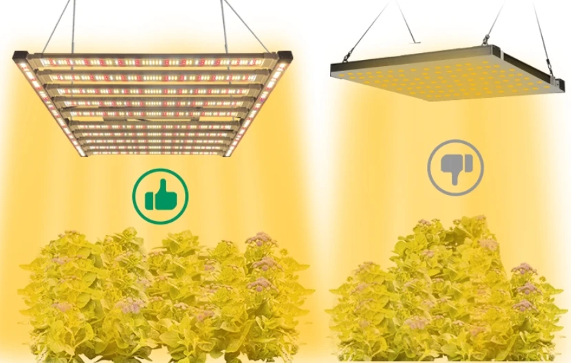 Samsung LM301H Evo Grow Lights - Full Spectrum 1000W Leds