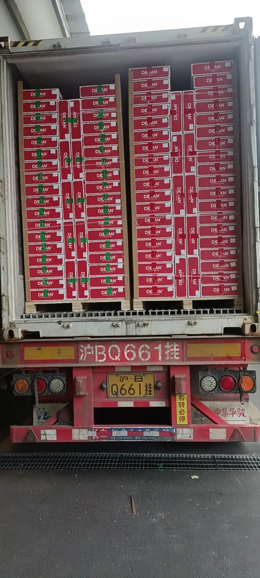 Detan Great Quality Chinese Exported Factory Cultivated Growing Exotic ...