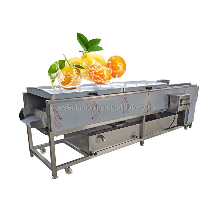 Industrial Conveyor Brush Roller Type Sweet Potato Radish Citrus Orange ...