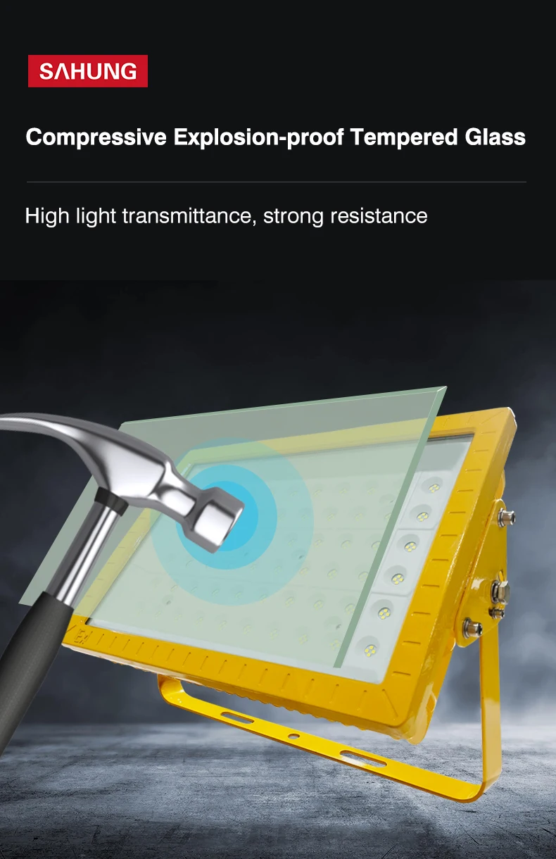 Factory Atex Certificate IP66 LED Explosion-Proof Light 50W-400W Ex IIC ...