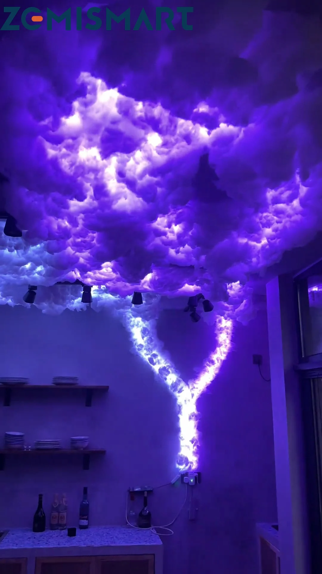 Zemismart Iot Matter Protocol Led Tape Controller Rgbcw Smart Led ...