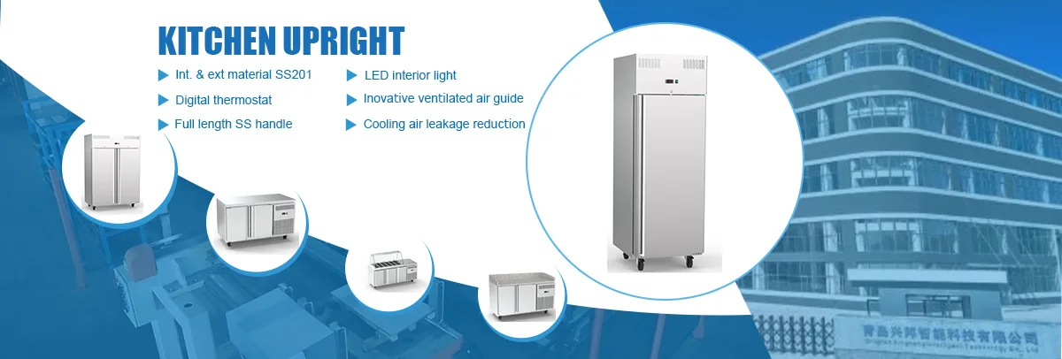 Commercial Canteen Chiller Freezer - Kitchen Upright