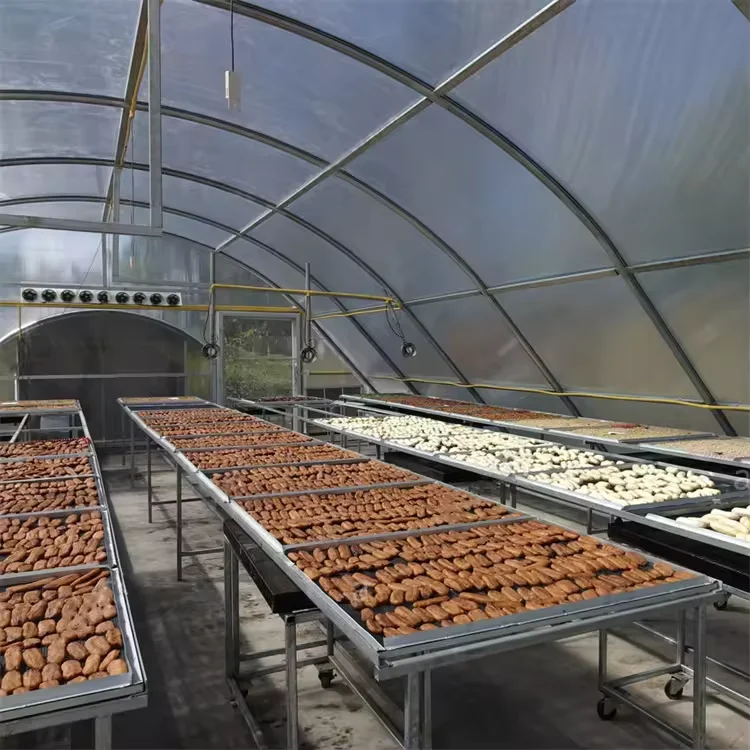 Sun Dryer Poly Single Tunnel Green House - Solar Drying