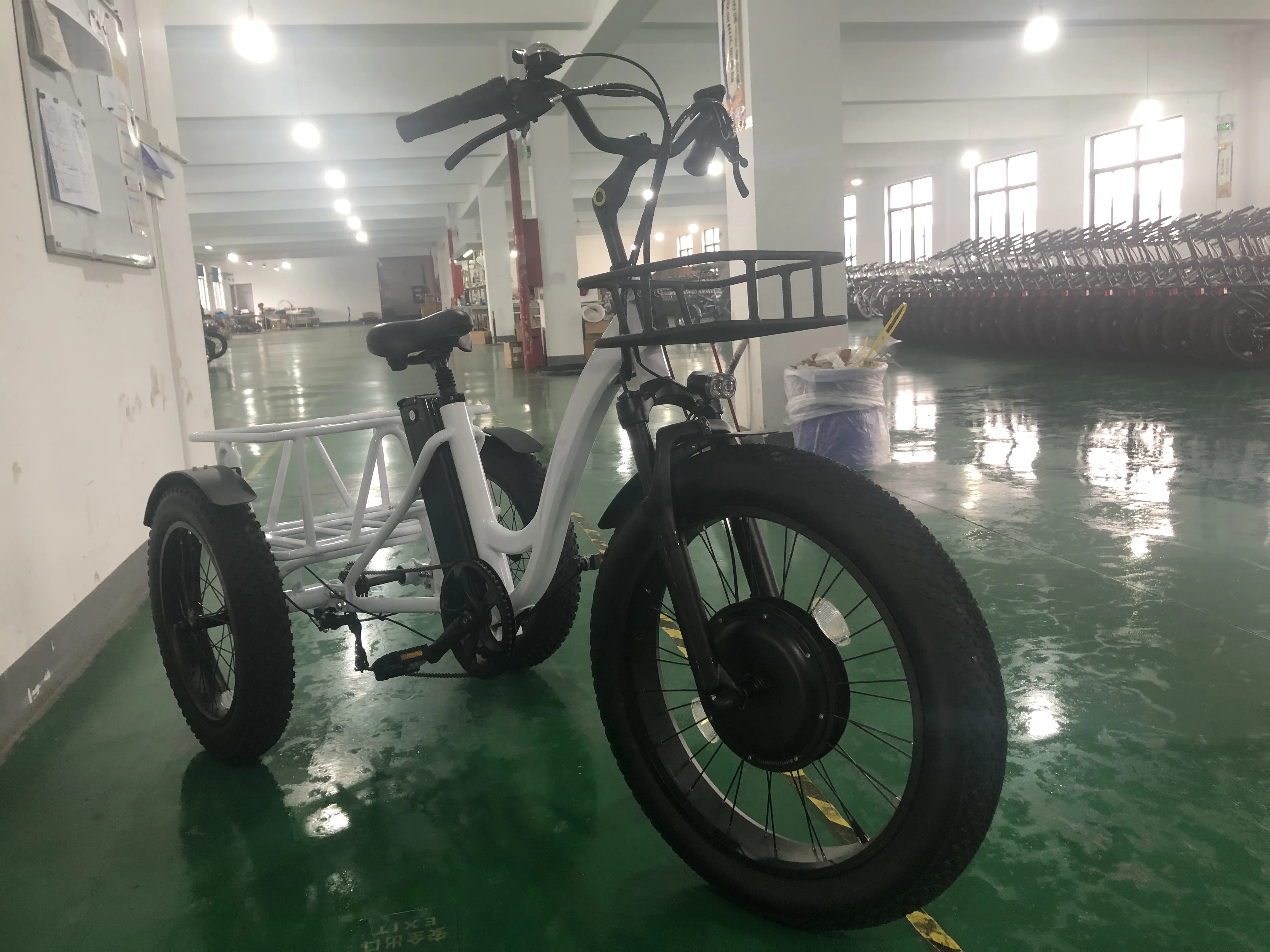 20inch Electric Tricycle Three Wheels Delivery Ebike - Buy 48v Electric Trike Bike 10-21ah ...
