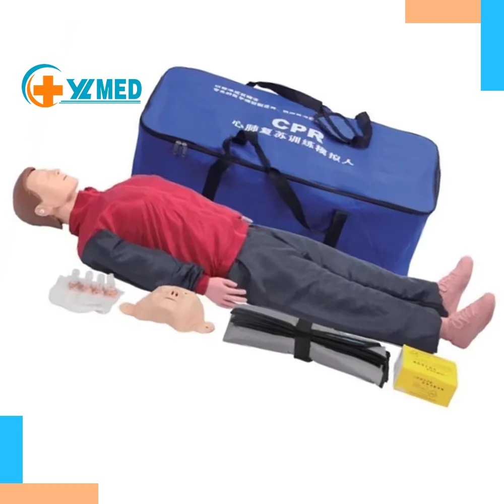 Advanced automatic cardiopulmonary resuscitation (CPR) simulated human ...