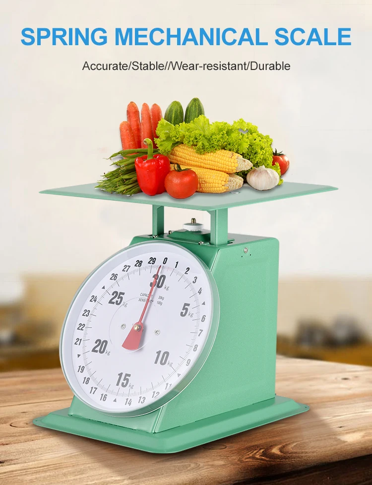 High Quality 30kg Stainless Steel Spring Balance Scale