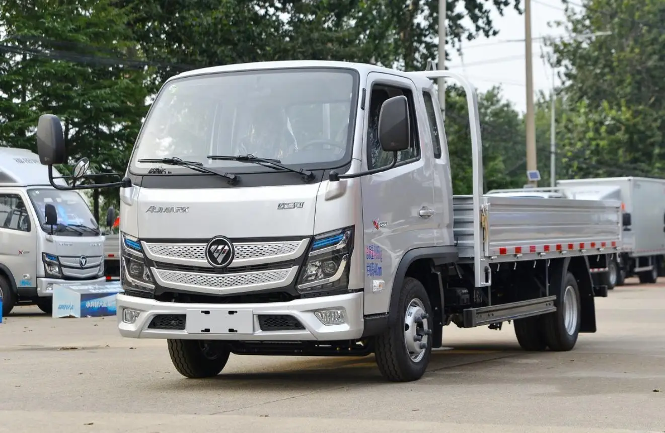 Customized Used Foton Cargo Truck Second Hand Cargo Trucks Truck Cargo ...