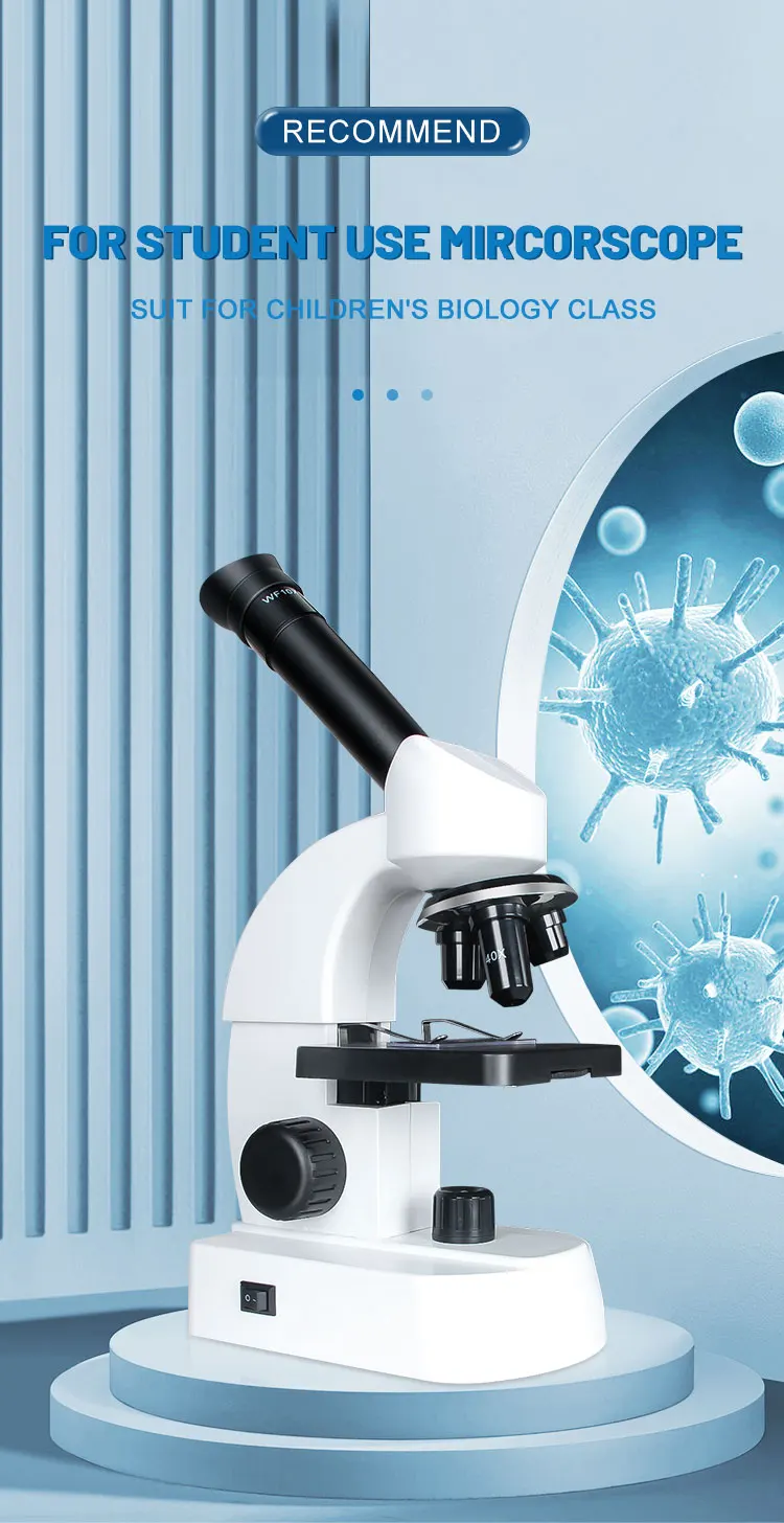 Children's Toy Biological School Science Handheld Adjustable Zoom ...