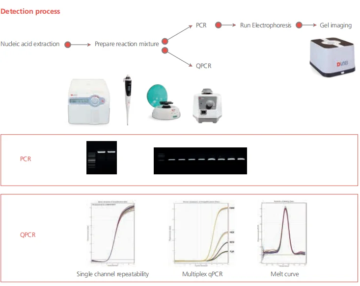 DLAB-Amplificador de DNA gradiente, máquinas PCR, ciclador térmico ...