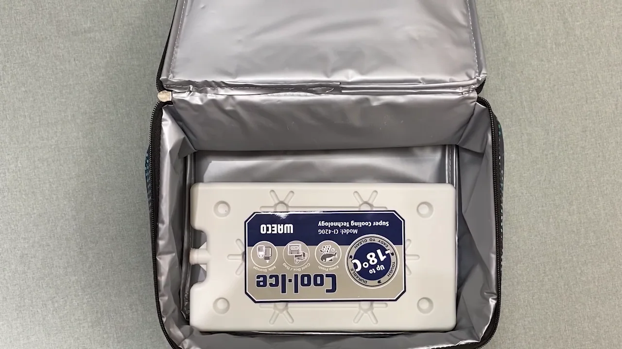 Cool Box Refrigerated & Gel Ice Pack: Keep Food Fresh With Cooling Box