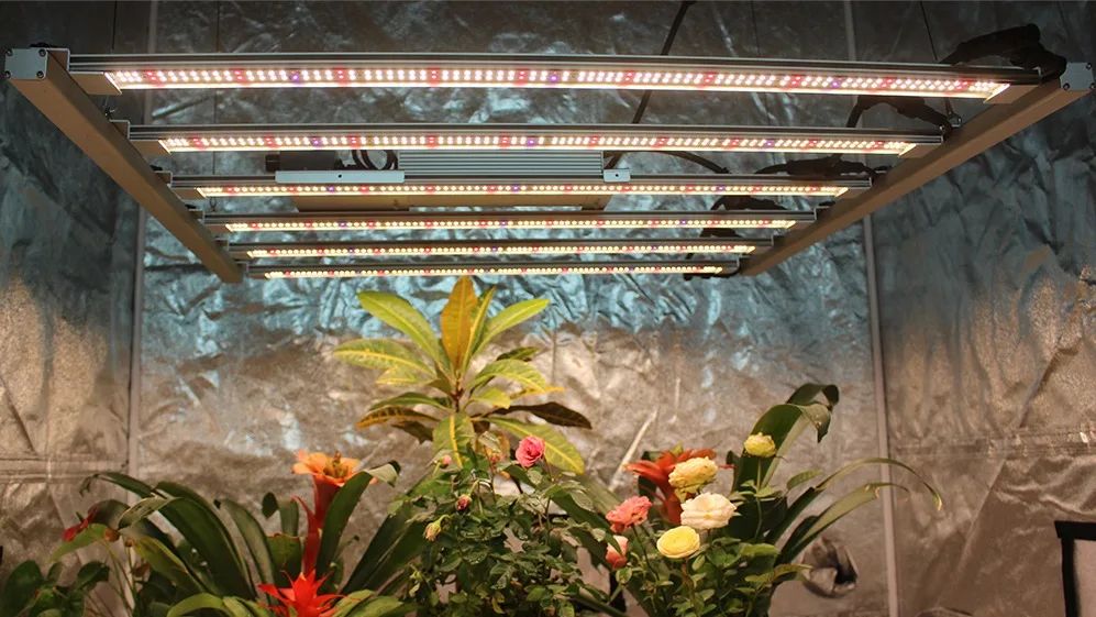 App Smart Controller Figolite E4000 Lm301h Evo Bar 480w Full Spectrum ...