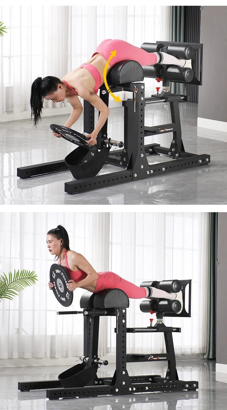 Rectus Abdominis Muscle Exercise - Prone Reverse Leg Lift