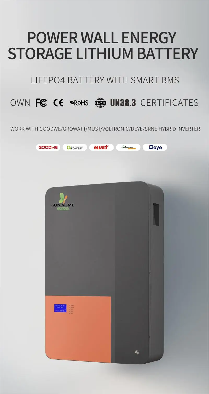 High Quality Lithium Power Wall 51.2v 100ah 200ah Power Banks & Power ...