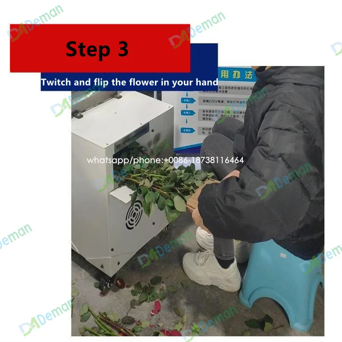 Easy to Operate Rose Thorn Removal Machine Rose Flower Dethorn ...