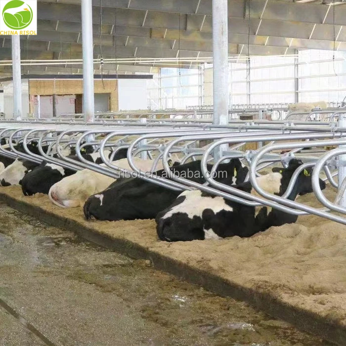 Portable Cow Cubicles Hot Dip Galvanized Cattle Livestock Divided ...