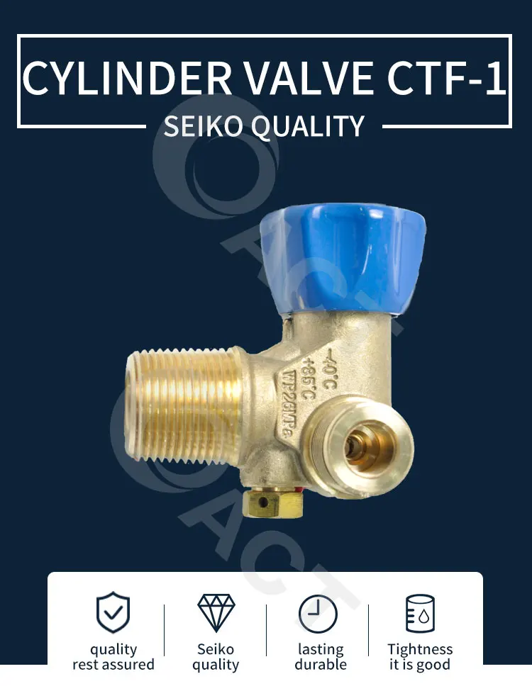 ACT GNV Cylinder Valve for GNC Tank - High-Quality & Durable