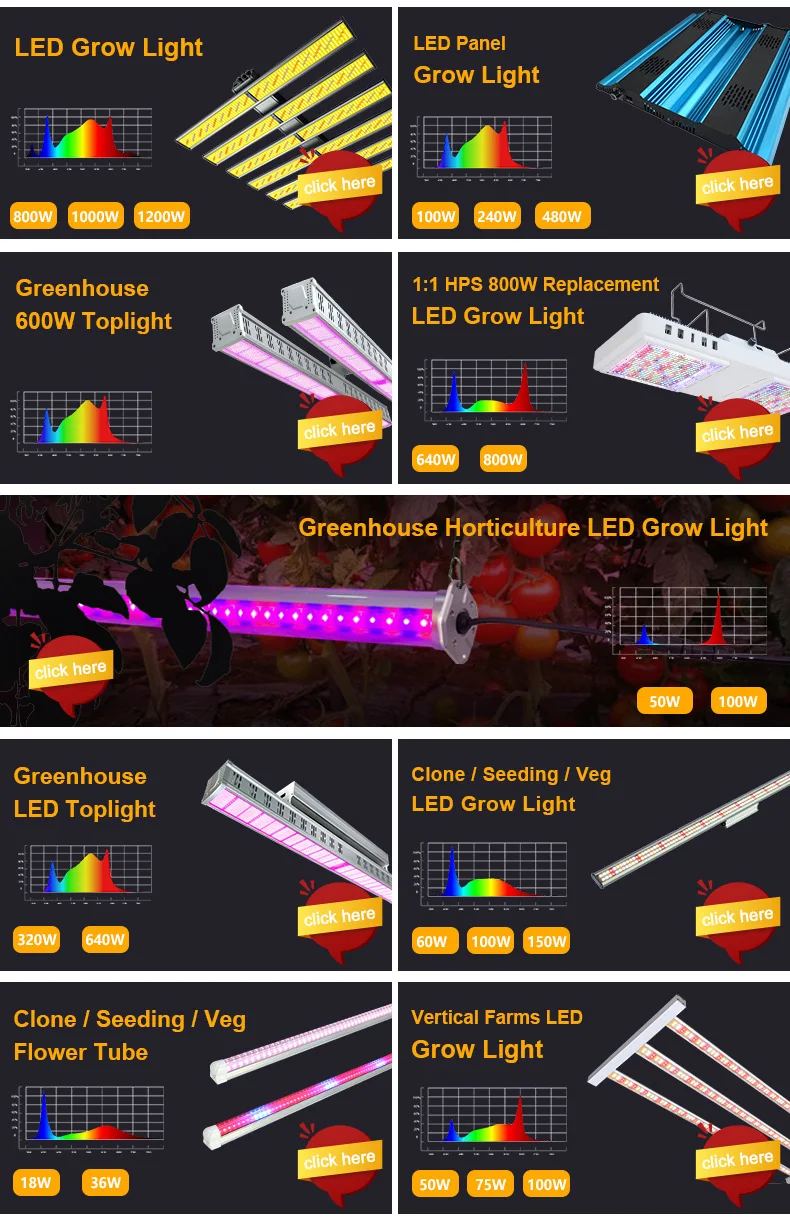 800w to 4000w Full Spectrum LED Grow Lights for Plants