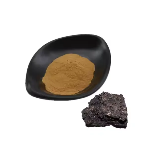 Organic Free Sample Shilajit Extract Powder Shilajit Extract 10:1 ...