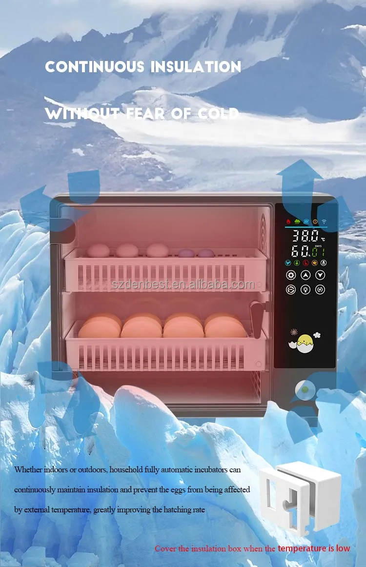 24 Eggs Full-Automatic Digital Duck & Chicken Incubator - OEM