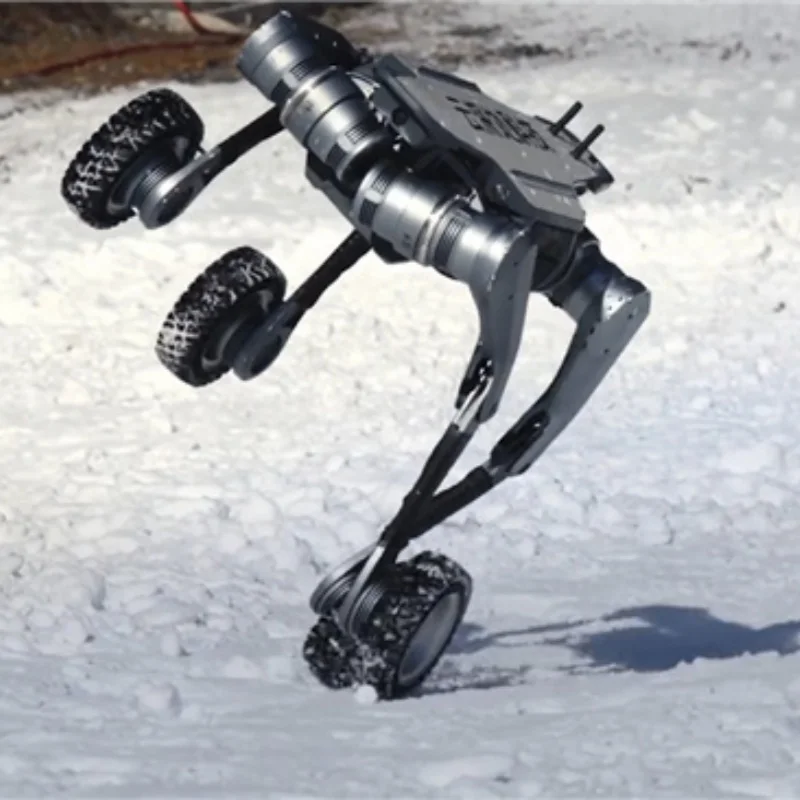 Robot Dog Quadruped Robotics for Adults - Embodied AI