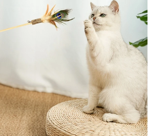 Wooden Pole Peacock Feather Cat-teasing Stick Polygonum Stick Cat ...