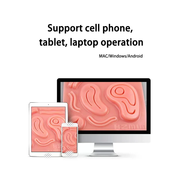 1080p Camera Laparoscopic Training Simulatior/laparoscopic Trainer Box ...