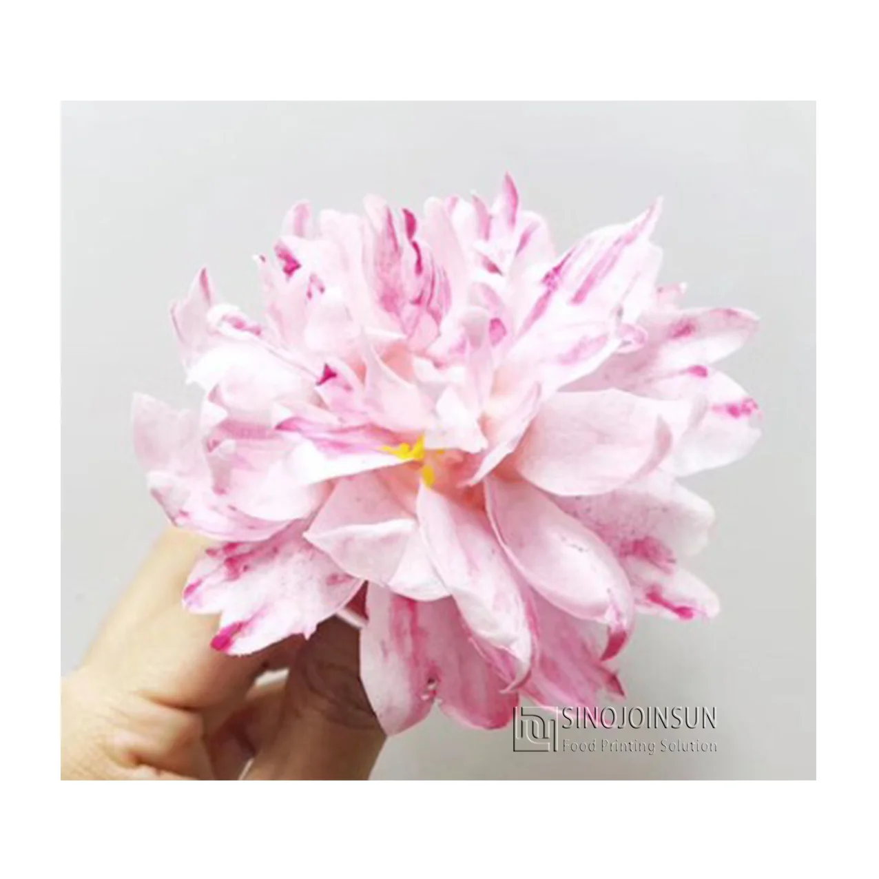 Edible Paper A4 Size Wafer Paper Rice Paper For Lollipop Sticker ...