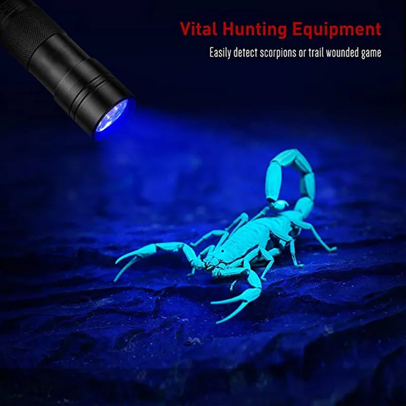 Mini Size Portable Uv Flashlight 12 Led Aaa Battery 395nm Ultraviolet ...