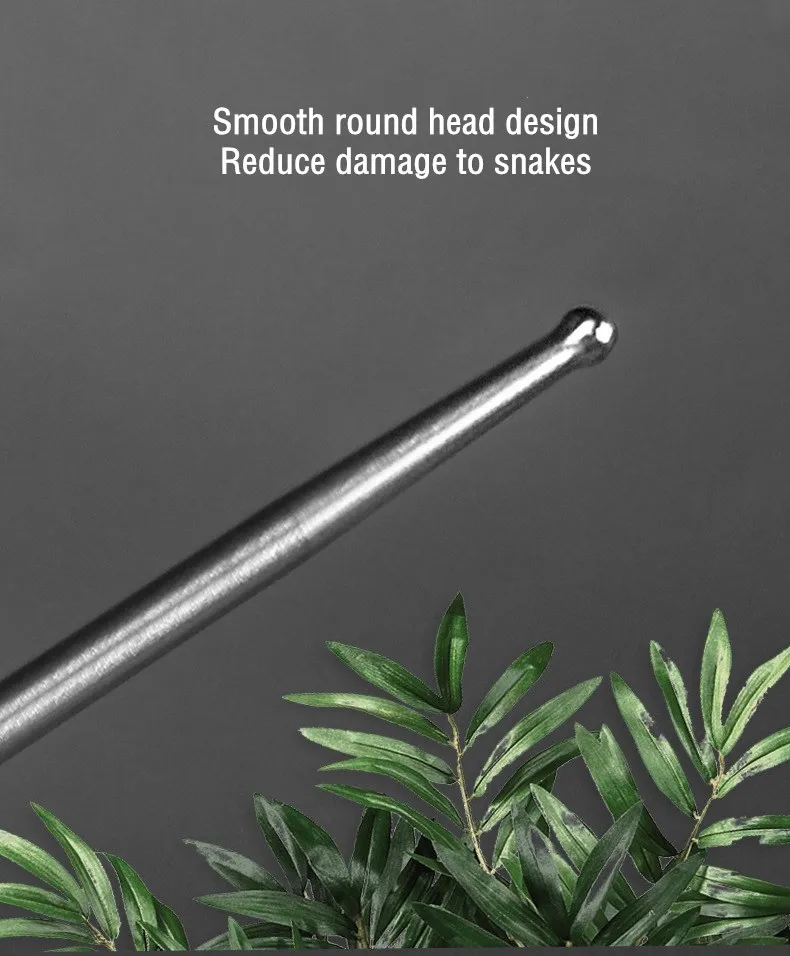 Professional Reptiles Snake Sexing Kit Probes Set 6 Pieces