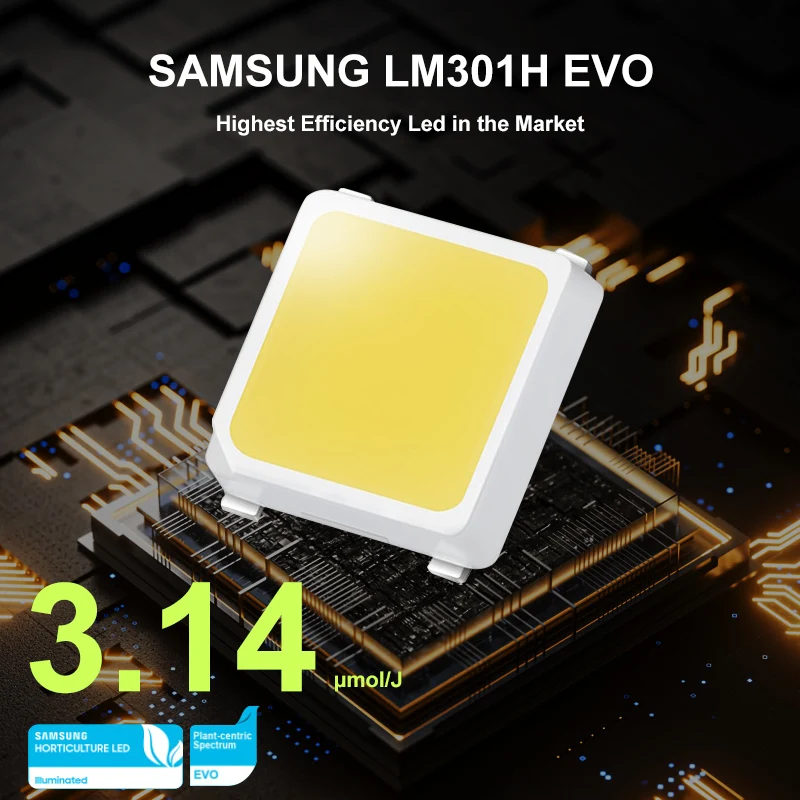 Kingbrite P55-650W/800W LED Grow Lights - Efficient Growth