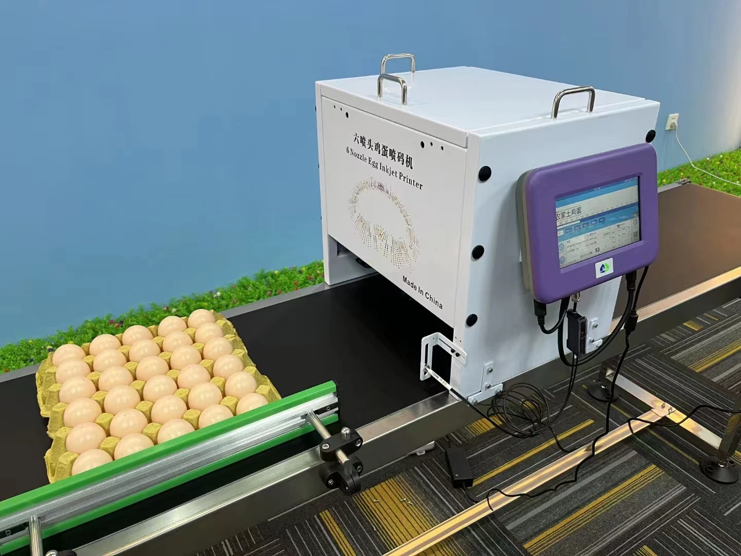 Stamping Printing Chicken Machine With Edible Ink Egg Code Printer ...