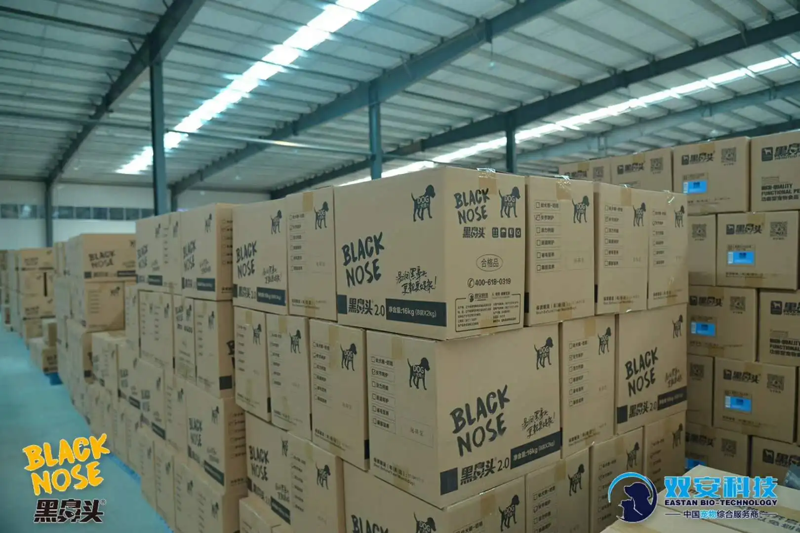 High-protein Dry Pet Food - Factory Direct & Customizable