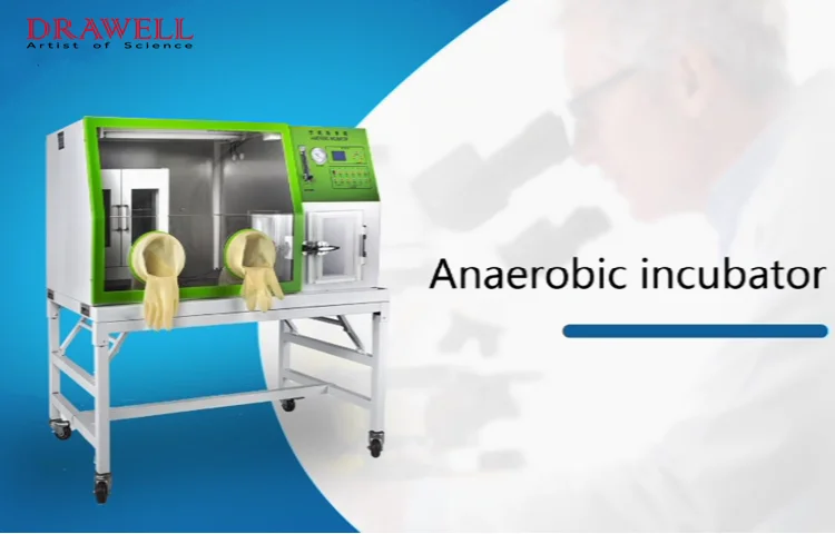 Lab Anaerobic Chamber Incubator Laboratory Bacteria Testing Chamber ...