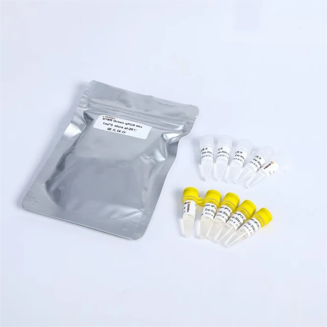 Jual Reagen PCR - Quality PCR Kits for Reliable Results